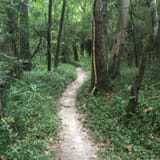 Comite Park Loop, Louisiana - 782 Reviews, Map | AllTrails