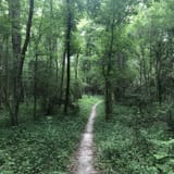Comite Park Loop, Louisiana - 782 Reviews, Map | AllTrails