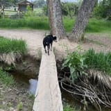 McKay Lake Trail, Colorado - 978 Reviews, Map | AllTrails