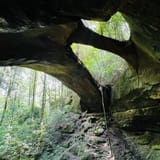 Natural Bridge Park Loop, Alabama - 300 Reviews, Map | AllTrails