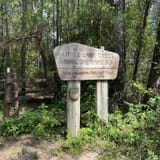 Lone Star Hiking Trail, Texas - 249 Reviews, Map | AllTrails