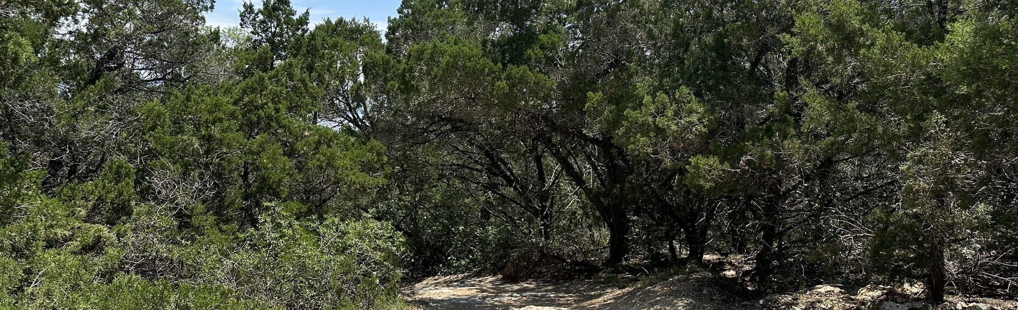 Main Loop and Juniper Trail: 1466 Reviews, Map - Texas | AllTrails