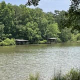 Turner Lake Trail, Georgia - 209 Reviews, Map | AllTrails