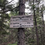 Grafton Loop Trail, Maine - 80 Reviews, Map | AllTrails
