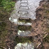 Grafton Loop Trail, Maine - 80 Reviews, Map | AllTrails