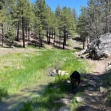 Griffith Spring Trail, Arizona - 358 Reviews, Map | AllTrails