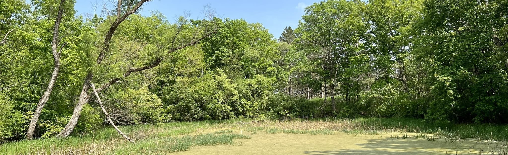 Emma Carlin Trails: Brown to Green Loop: 33 Reviews, Map - Wisconsin ...