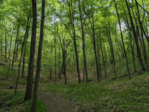 Best Hikes and Trails in Milwaukee River Floodplain Forest State ...