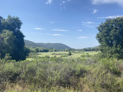 10 Best Hikes and Trails in Daley Ranch | AllTrails