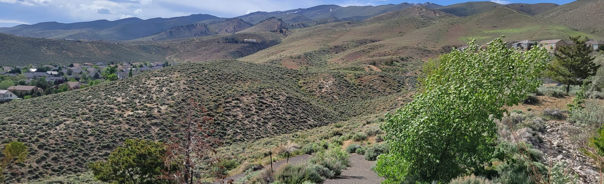 Chalk Creek Loop Trail, Nevada - 157 Reviews, Map | AllTrails
