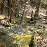 Sand Run Falls Trail, Pennsylvania - 440 Reviews, Map | AllTrails