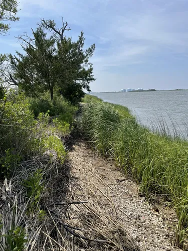 Best Hikes and Trails in Tybee Island | AllTrails