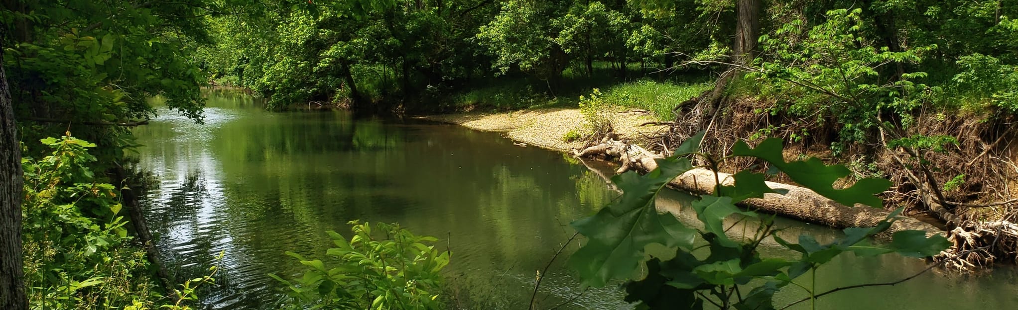 Sac River Trail: Short Loop, Missouri - 112 Reviews, Map | AllTrails