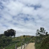 Encinitas Ranch Trail, California - 859 Reviews, Map | AllTrails