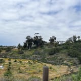 Encinitas Ranch Trail, California - 859 Reviews, Map | AllTrails
