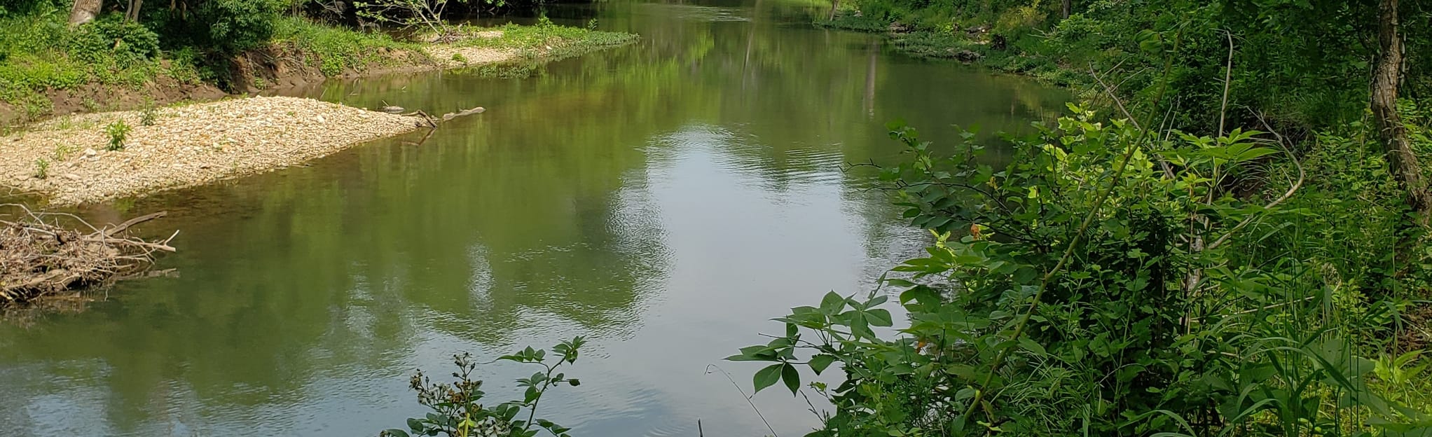 Sac River Trail, Missouri - 453 Reviews, Map | AllTrails