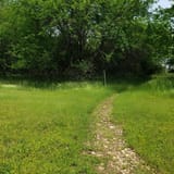 Sac River Trail, Missouri - 484 Reviews, Map | AllTrails