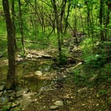 Sac River Trail, Missouri - 484 Reviews, Map | AllTrails