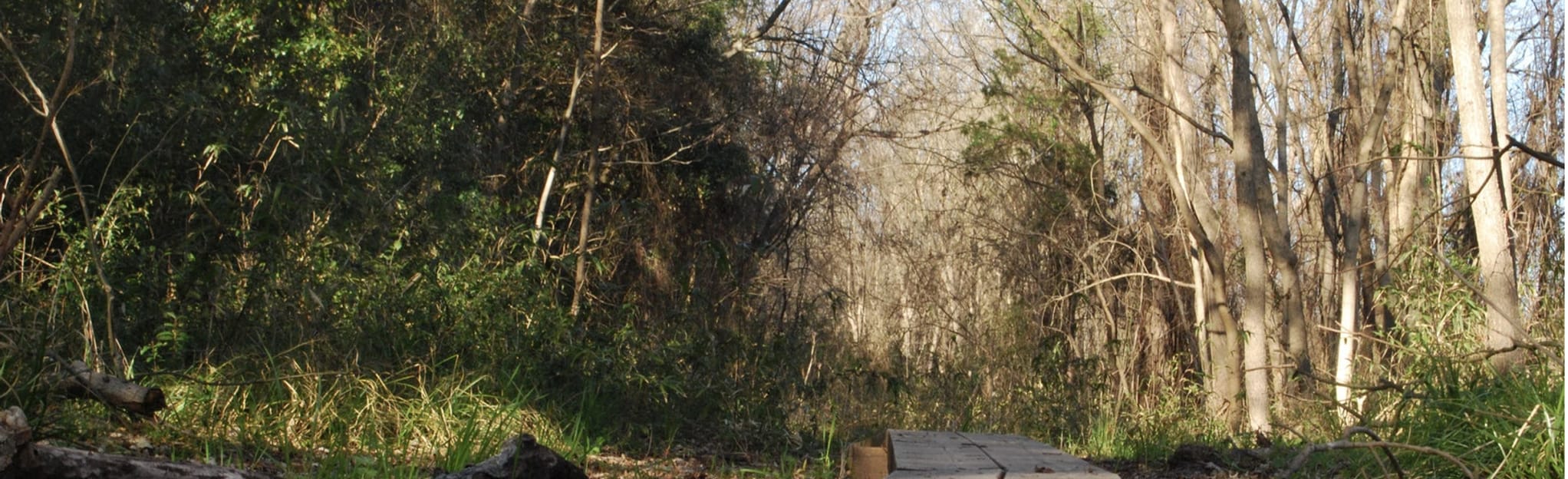 Coates Bluff Nature Trail, Louisiana - 7 Reviews, Map | AllTrails