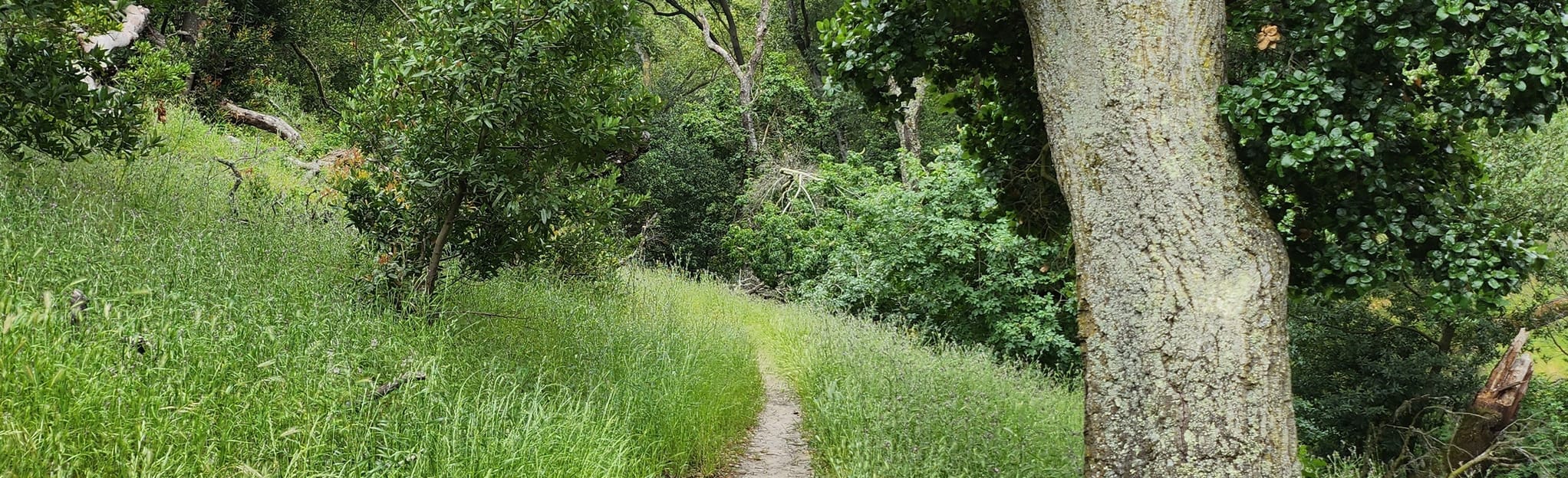 Fernandez Ranch Loop with Vista Point, California - 484 Reviews, Map ...