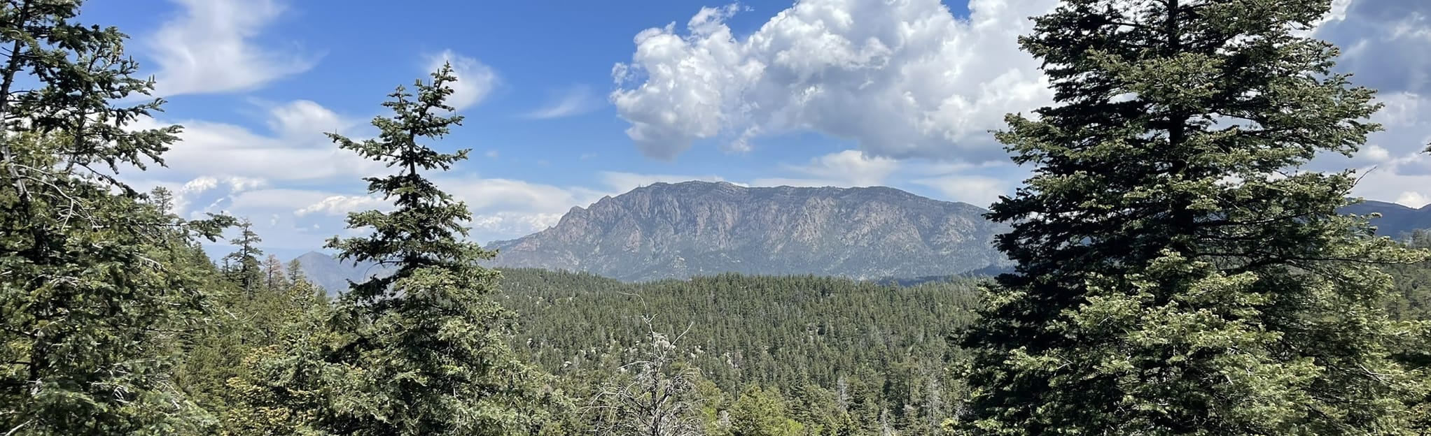 South Sandia Peak via Embudito Trail #192: 365 Reviews, Map - New ...