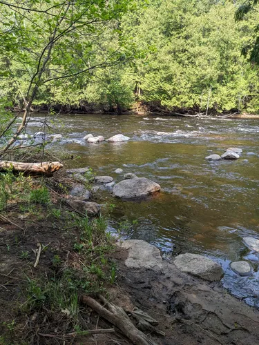 Best Hikes and Trails in Governor Earl Peshtigo River State Forest ...