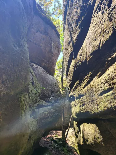 Best Hikes and Trails in The Channels State Forest | AllTrails