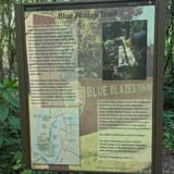 Blue Blazes Trail, Tennessee - 385 Reviews, Map | AllTrails