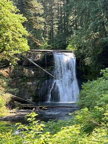 2023 Best Waterfall Trails in Mehama | AllTrails