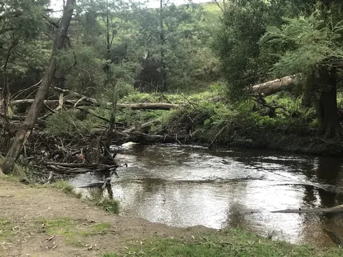 Best Hikes and Trails in Rokeby Flora Reserve | AllTrails