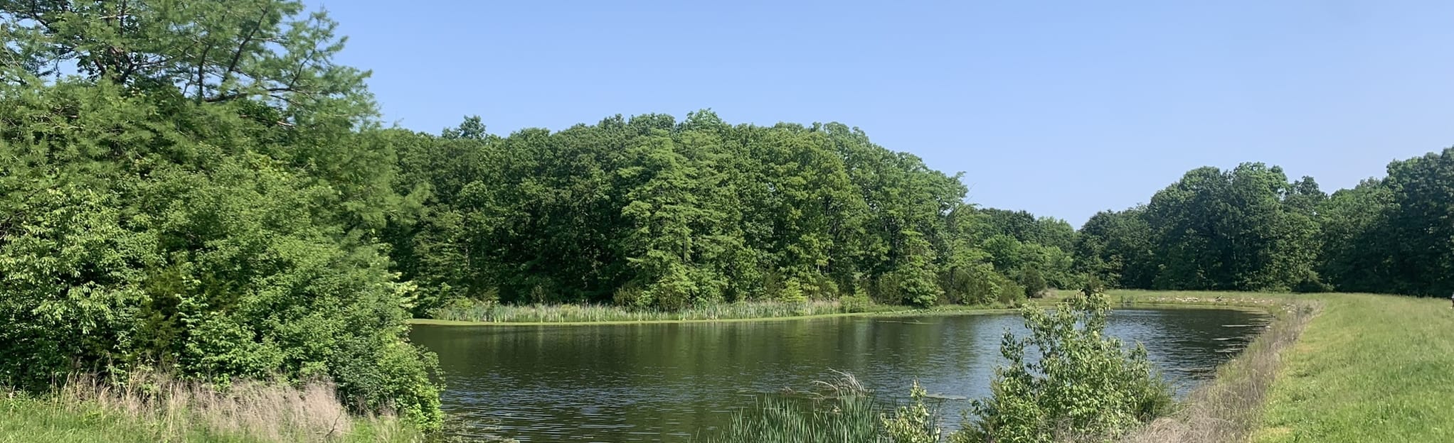 Busch Wildlife Biking-Hiking Trail, Missouri - 578 Reviews, Map | AllTrails