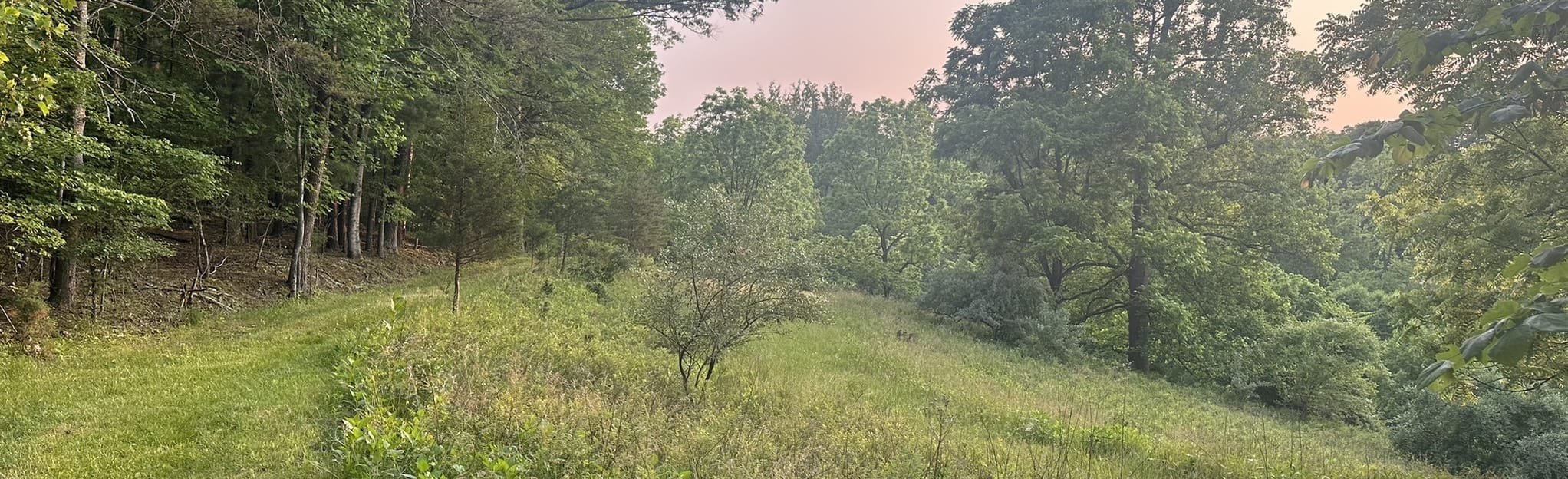 Back Creek Trail, Virginia - 123 Reviews, Map | AllTrails