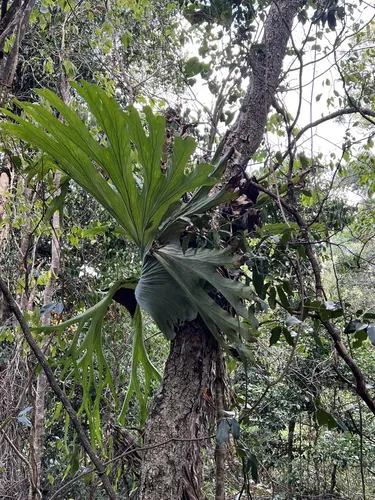 Best Hikes and Trails in Mudlo National Park | AllTrails