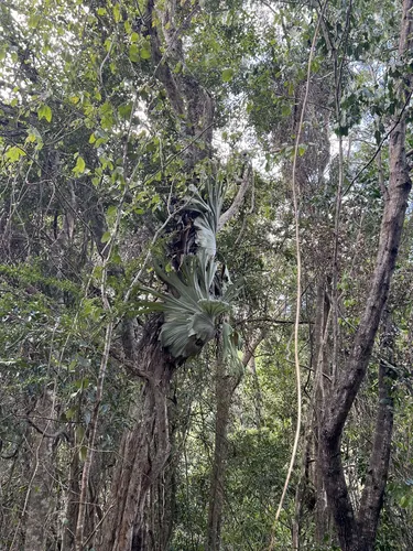Best Hikes and Trails in Mudlo National Park | AllTrails