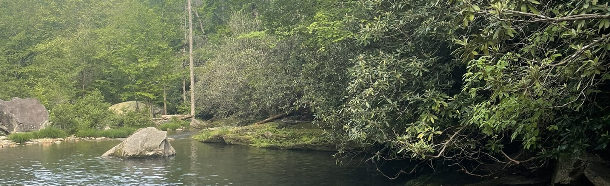 Hunt Fish Falls via Gragg Prong: 279 Reviews, Map - North Carolina ...