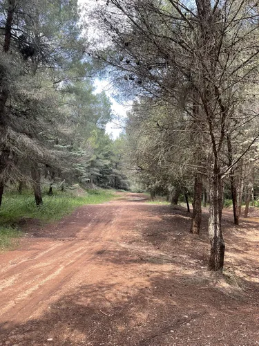 Best Hikes and Trails in Toritto | AllTrails