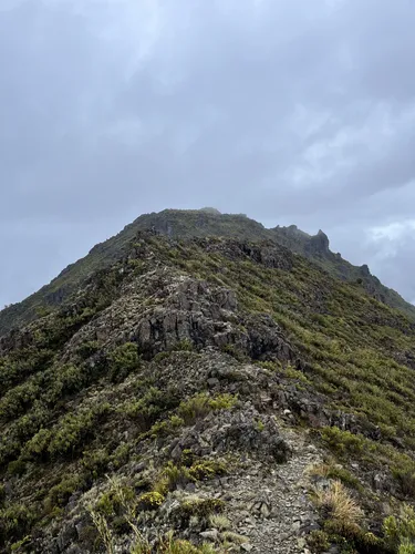 Best Camping Trails in Chirripo National Park | AllTrails