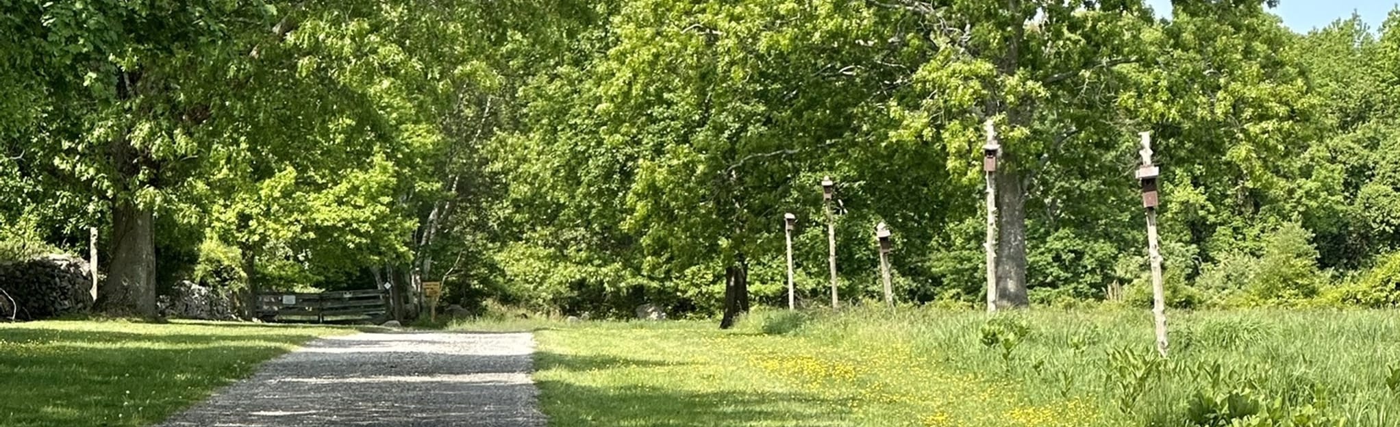 Parker Farm Reserve Trail Loop, Rhode Island - 33 Reviews, Map | AllTrails