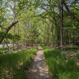 Great Meadow Loop Trail, Maine - 214 Reviews, Map | AllTrails