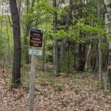 Great Meadow Loop Trail, Maine - 214 Reviews, Map | AllTrails