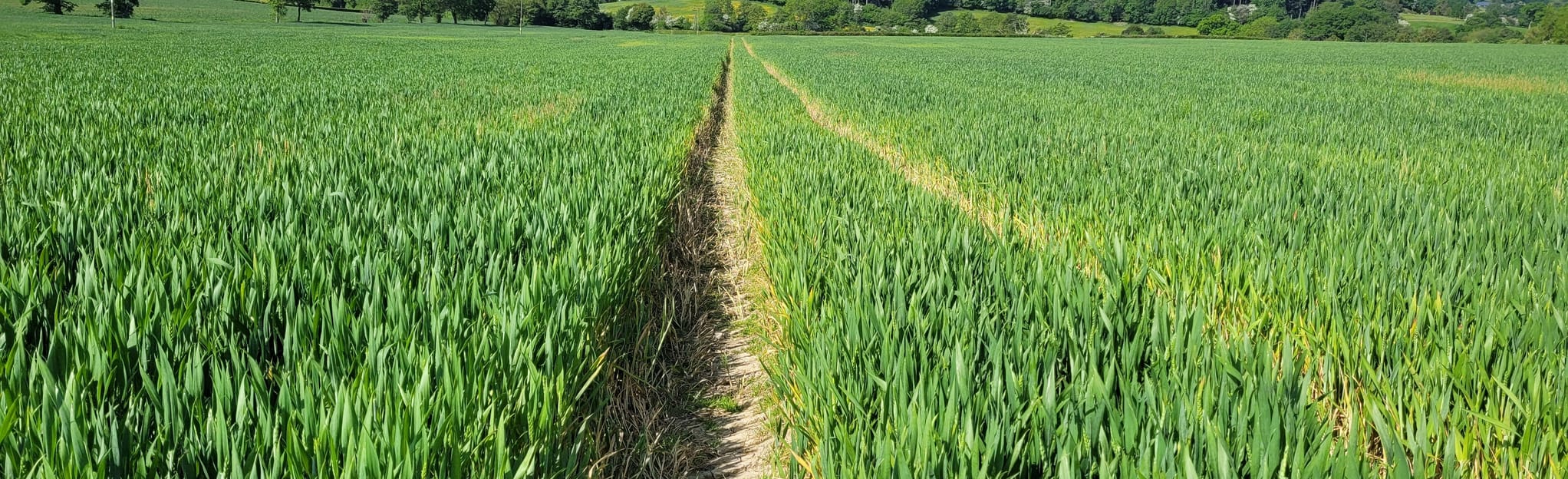 Woolhope Circular: 18 Reviews, Map - Gloucestershire, England | AllTrails