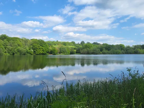 10 Best Hikes and Trails in High Weald Area of Outstanding Natural ...
