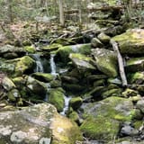 Chesterfield Gorge Trail, Massachusetts - 405 Reviews, Map | AllTrails