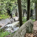 Chesterfield Gorge Trail, Massachusetts - 405 Reviews, Map | AllTrails