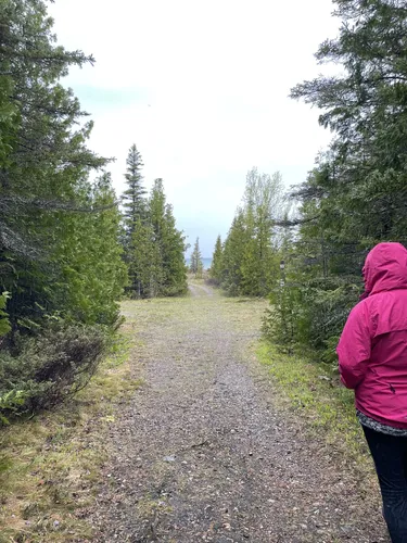 Best Hikes and Trails in Thompson's Harbor State Park | AllTrails