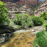 Jones Hole Trail, Utah - 276 Reviews, Map | AllTrails
