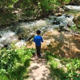 Jones Hole Trail, Utah - 276 Reviews, Map | AllTrails