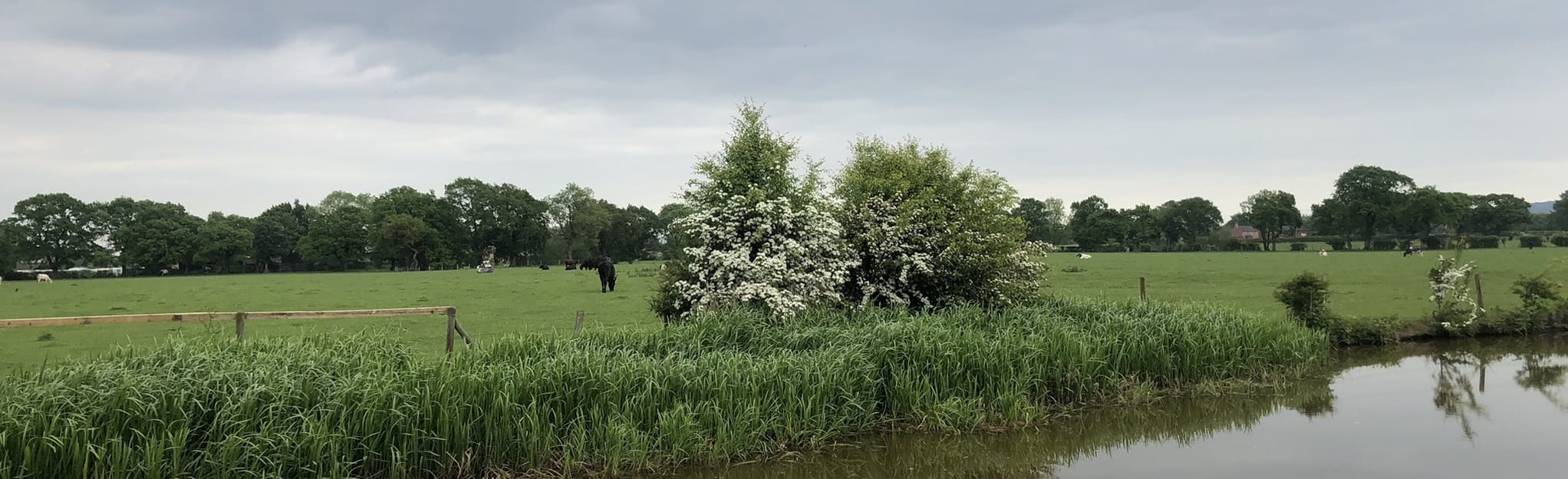 Rode Heath, Salt Line and Canal Circular, Cheshire, England - 60 ...