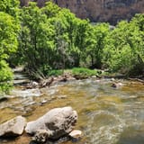 Jones Hole Trail, Utah - 276 Reviews, Map | AllTrails