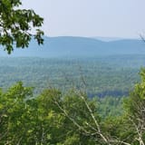 Old Loggers Path, Pennsylvania - 626 Reviews, Map | AllTrails